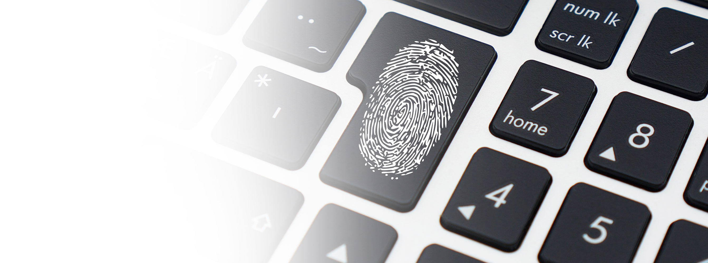 Data Privacy Notice | Sterling Bank of Asia